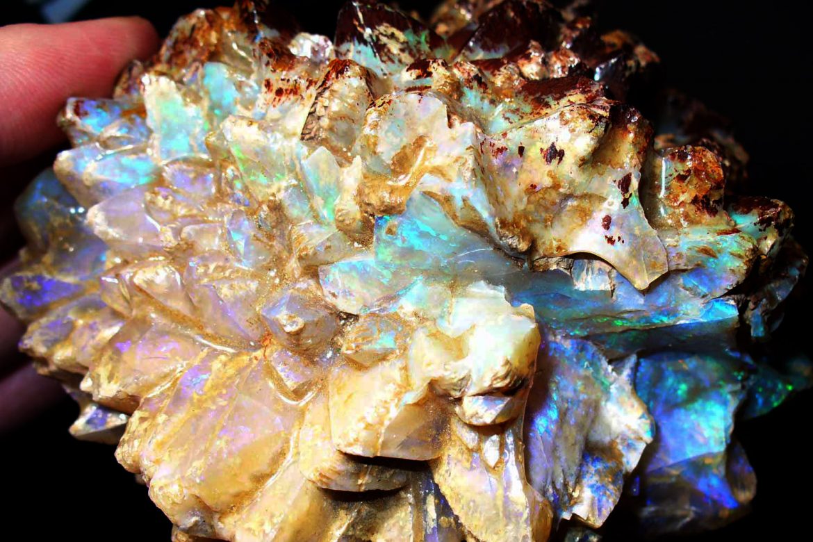 Part 4-Fossilized Opal – Opal Course