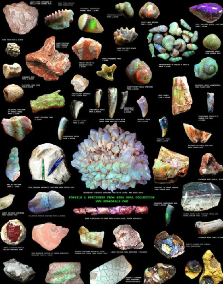 Part 4-Fossilized Opal – Opal Course